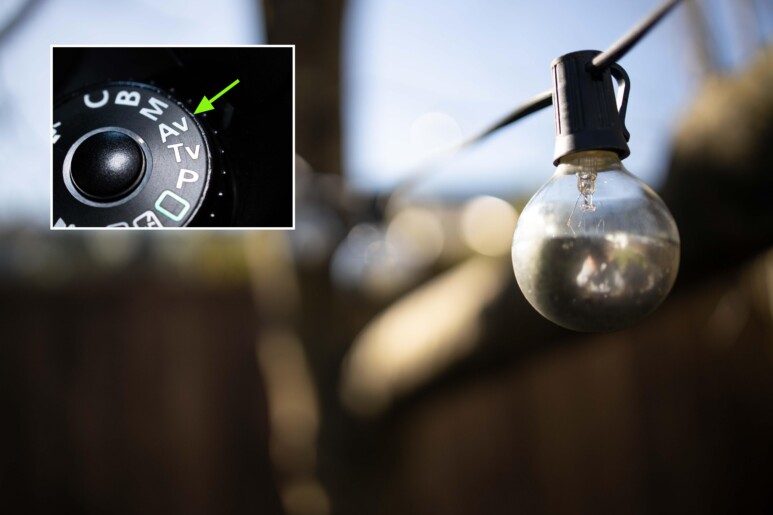 The Best Camera Settings For Beginner Photographers