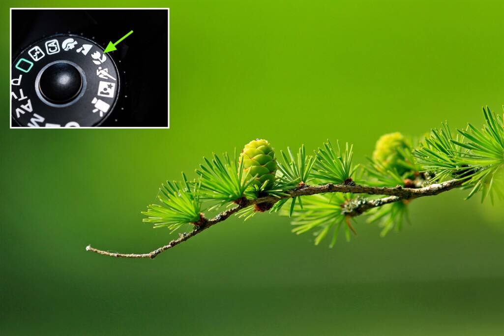 The Best Camera Settings For Beginner Photographers