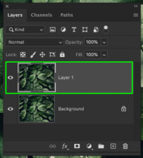How To Outline An Image In Photoshop – Brendan Williams Creative