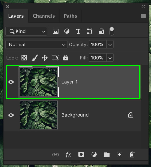 How To Outline An Image In Photoshop – Brendan Williams Creative