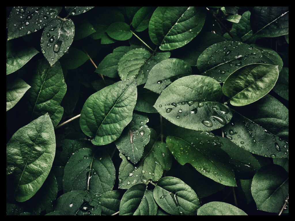 How To Outline An Image In Photoshop Brendan Williams Creative