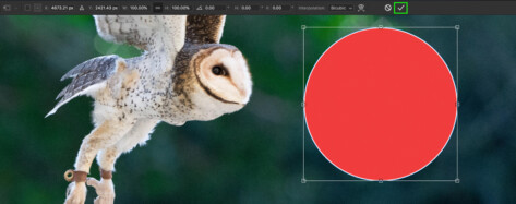 How To Deselect In Photoshop (4 Quick & Easy Ways)