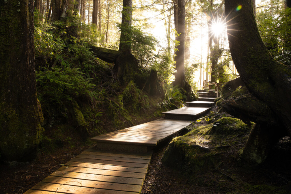 The 10 Best Camera Lens Brands (+ Popular Lenses)