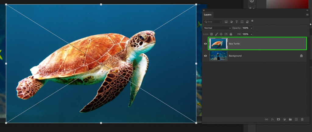  How To Move An Image In Photoshop 4 Fast And Easy Methods FMG