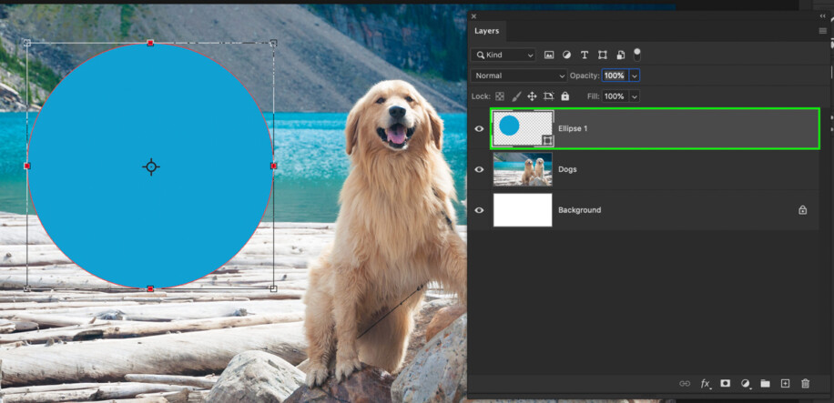 How To Move Images And Layers Between Photoshop Documents