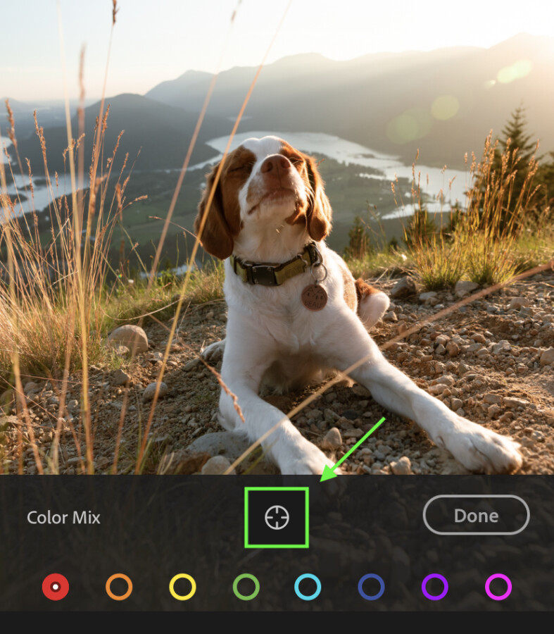 How To Change Color In Lightroom Mobile – Brendan Williams Creative