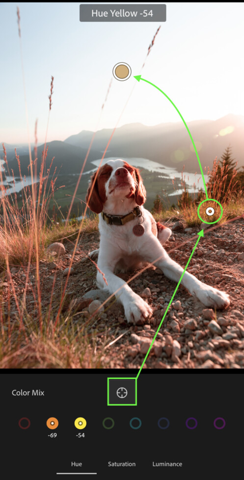 How To Change Color In Lightroom Mobile – Brendan Williams Creative