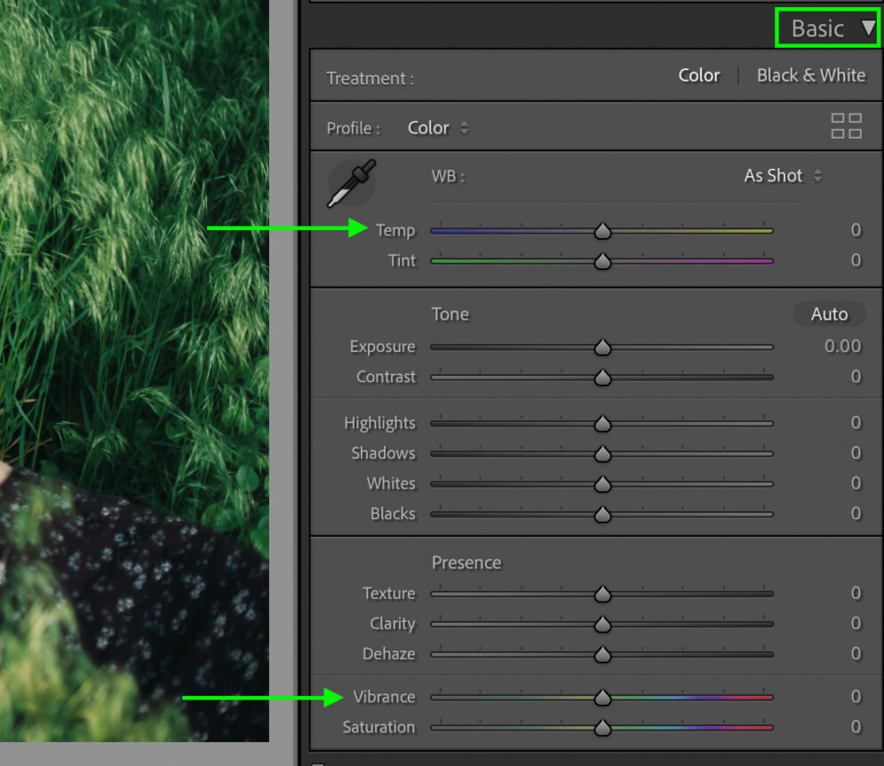 How To Get Brown Earthy Tones In Lightroom – Brendan Williams Creative
