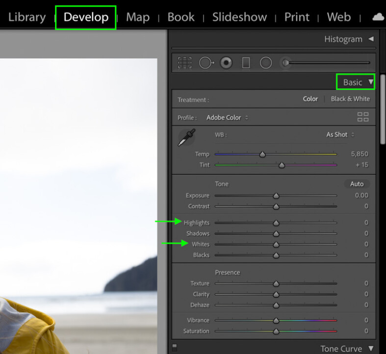 3 Ways To Darken The Background Of A Photo In Lightroom