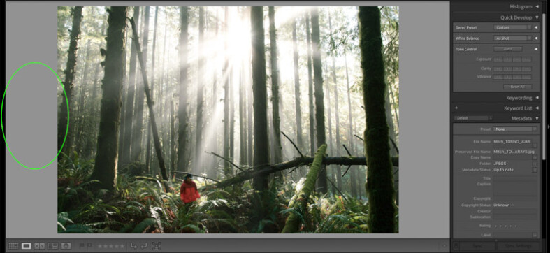 How To Full Screen Photos In Lightroom (Plus Shortcuts!)