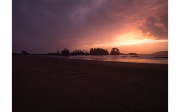 How To Full Screen Photos In Lightroom (Plus Shortcuts!)