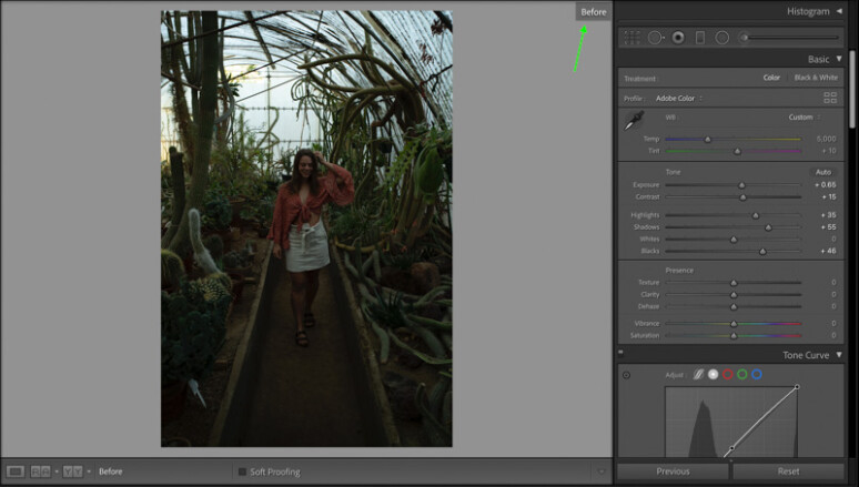 How To See Before And After In Lightroom & Lightroom Mobile