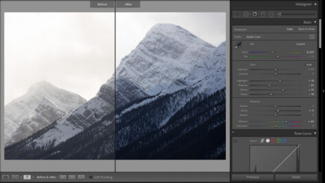 How To See Before And After In Lightroom & Lightroom Mobile