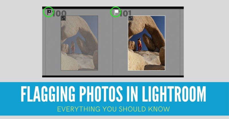 How To Organize Files In Lightroom (30+ Free Guides)
