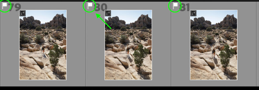 Flagging Photos In Lightroom - Everything You Should Know