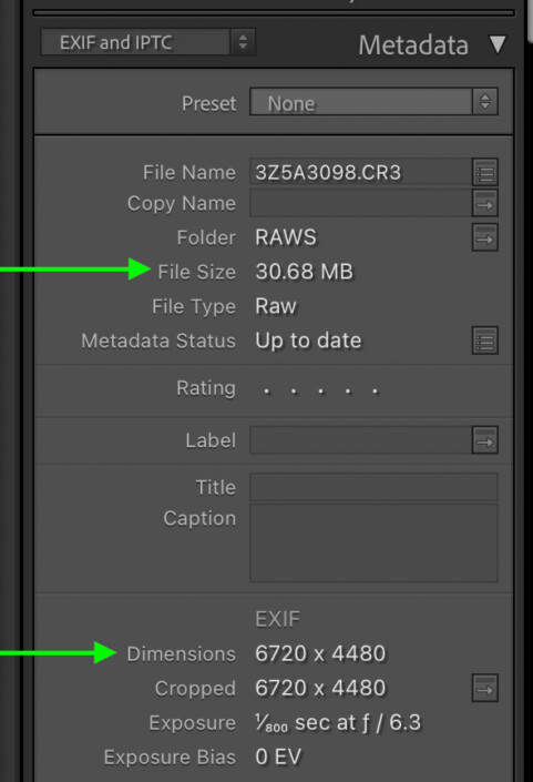 How To See File Sizes In Lightroom (And Change Them!)