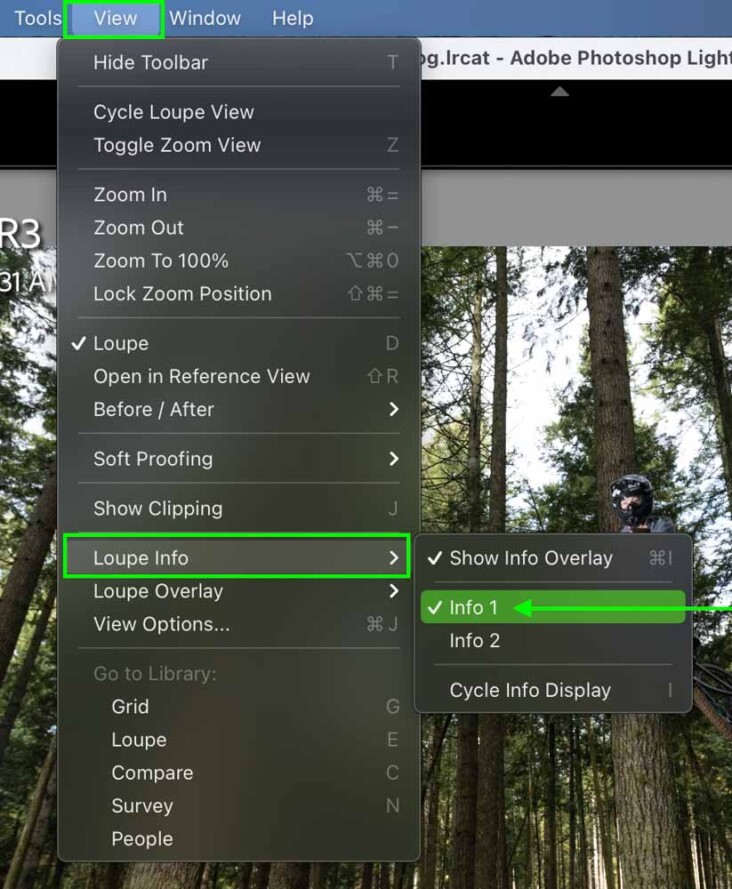 How To See File Sizes In Lightroom (And Change Them!)