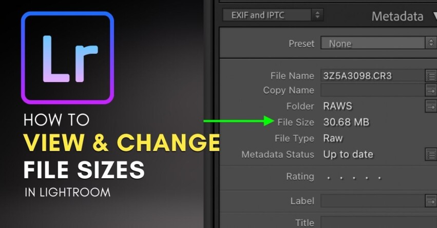 How To See File Sizes In Lightroom (And Change Them!)