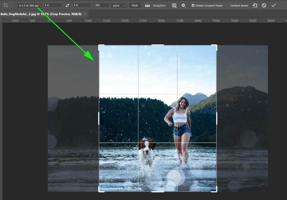 Find Crop Adobe Photoshop 2018 Lopteinfinite