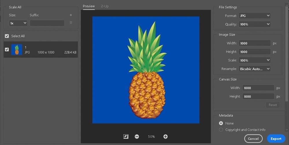 How To Convert Jpg To Png In Photoshop Munday Givall