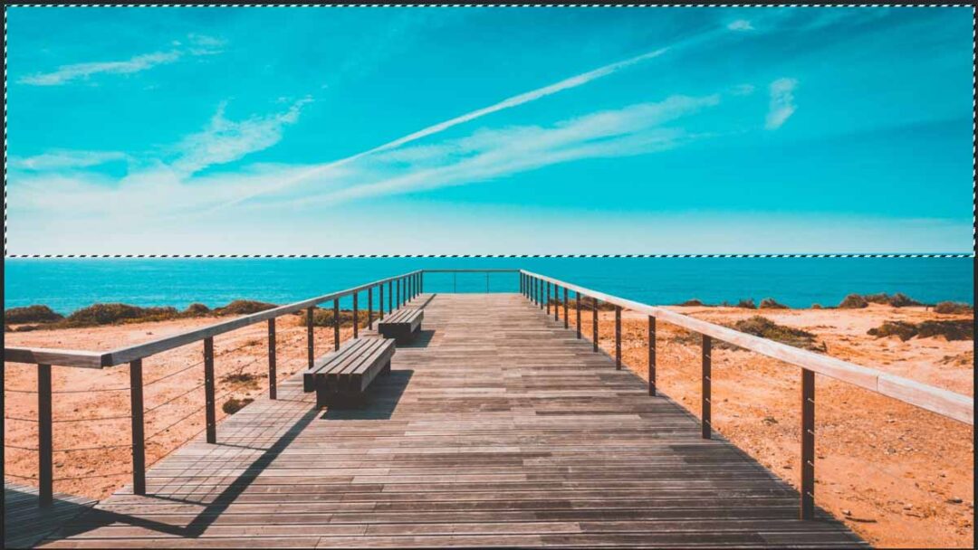 The 15 Best Photoshop Tools You Should Be Using