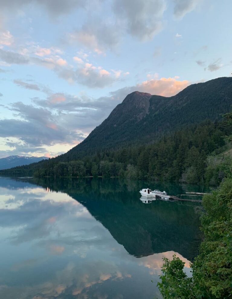 How To Use Lightroom Mobile (Complete Guide)