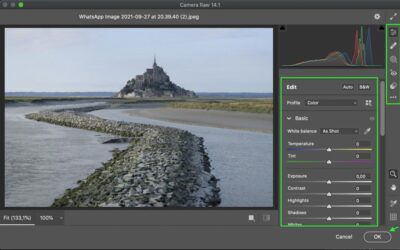 How To Copy & Paste Camera Raw Adjustments In Photoshop