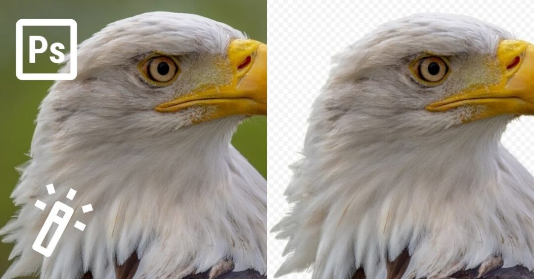 How To Use The Magic Wand Tool In Photoshop (Step By Step)