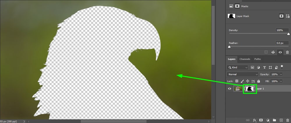 How To Use Magic Wand Tool To Have Transparent Background Hromprofits