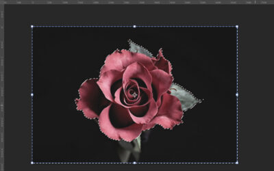 How To Delete A Selection In Photoshop – Brendan Williams Creative