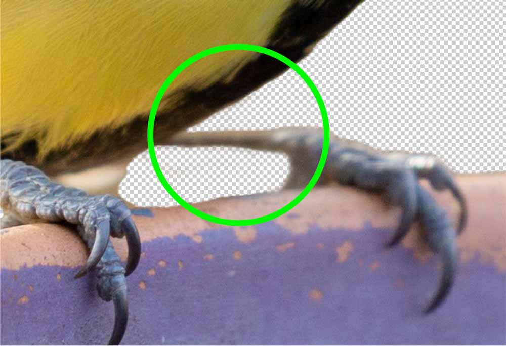 How To Delete A Selection In Photoshop Brendan Williams Creative