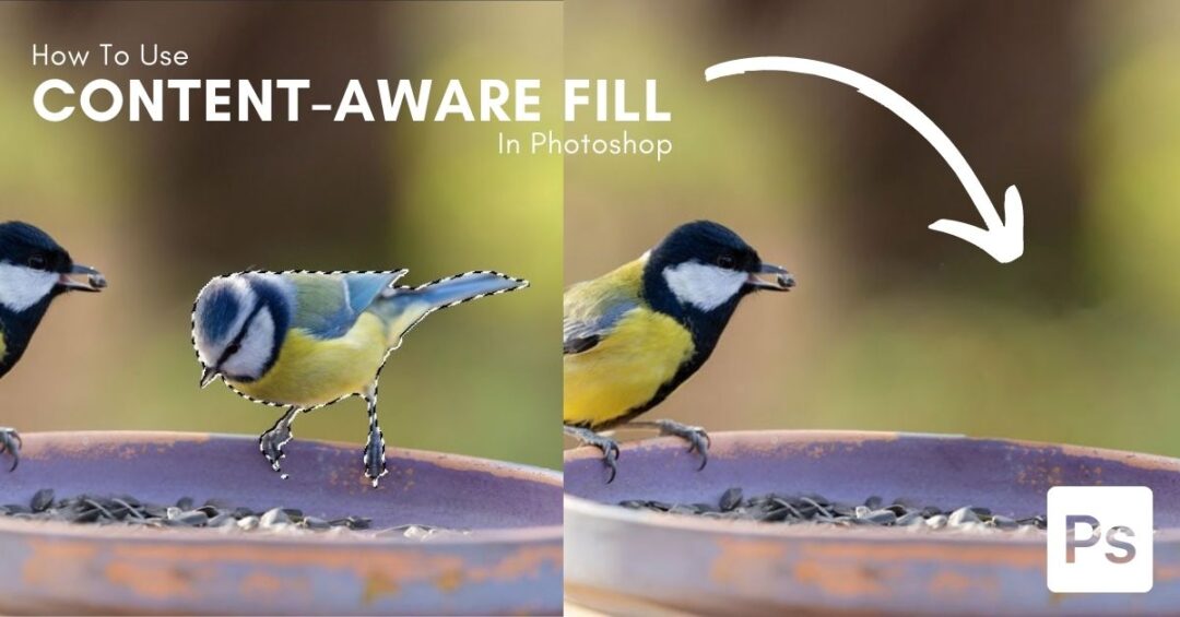 How To Use Content Aware Fill In Photoshop Ultimate Guide how-to-use-content-aware-fill-in-photoshop-ultimate-guide