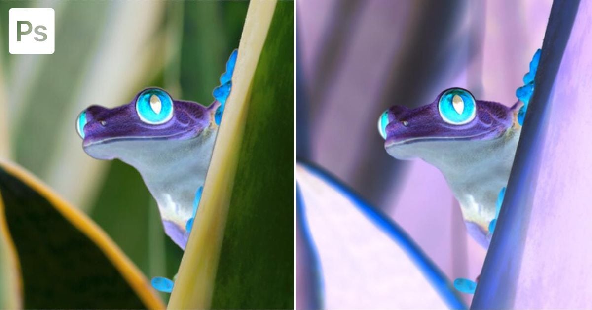 How To Invert Colors In Photoshop Brendan Williams Creative