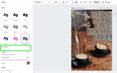 How To Highlight Text In Canva (Step By Step)