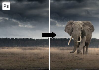 How To Combine Two Images In Photoshop (Step By Step)