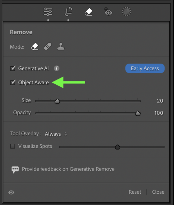How To Use Generative Remove In Lightroom - Complete Guide